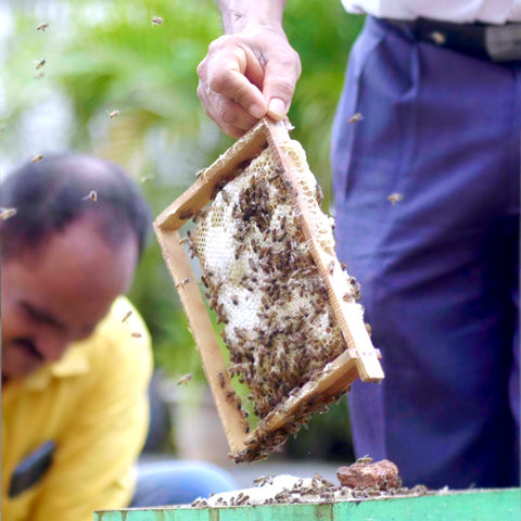 Beekeeping Equipment – Malabar Honey